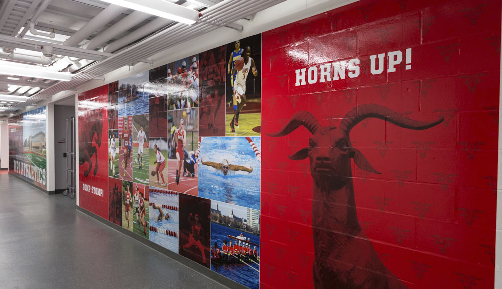 Physical Education, Recreation & Athletics | Offices | WPI