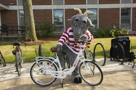Sustainability | Offices | WPI