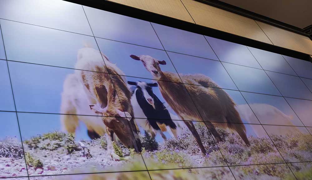 The Month in Photos: August 2018 | News | WPI