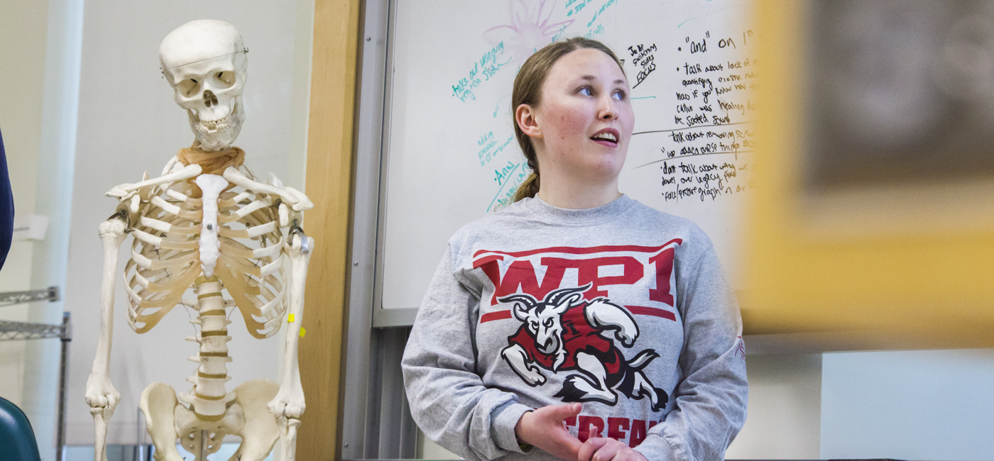 Biomedical Engineering | Academics | WPI