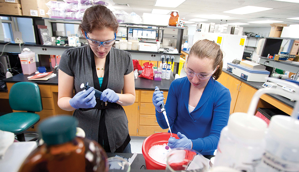 Master’s in Biochemistry | Close Collaboration with Faculty