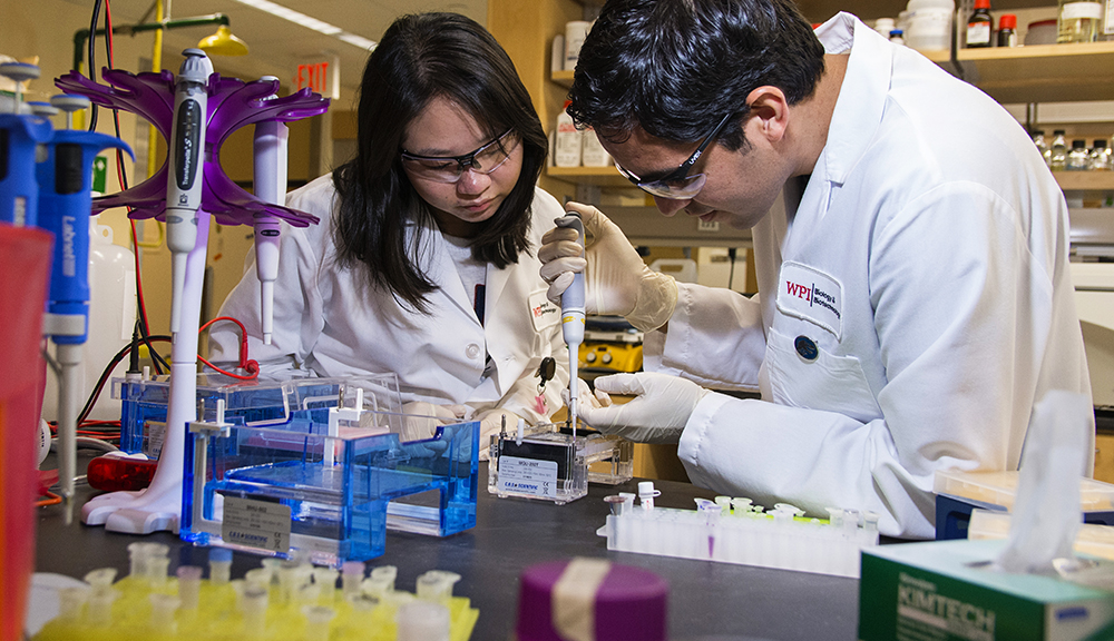 PhD in Biology & Biotechnology | World-Class Research