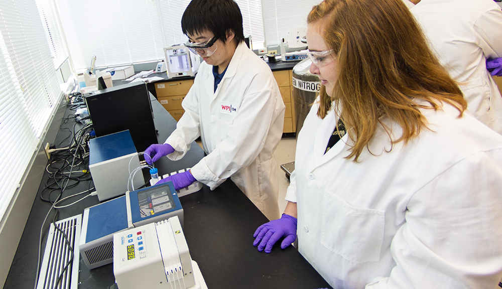 PhD in Chemical Engineering | 1-on-1 Faculty Attention