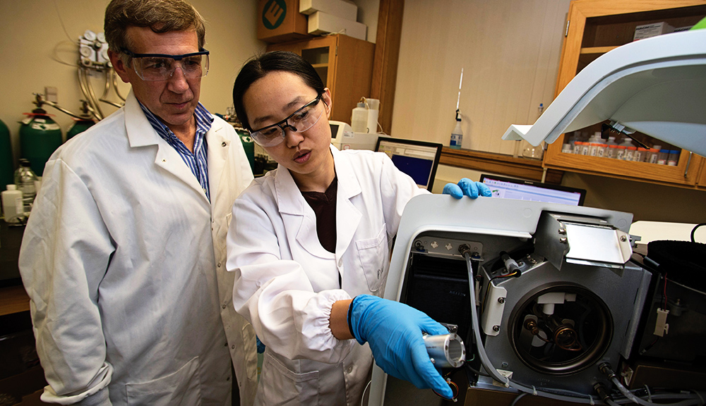 Master’s in Environmental Engineering | Faculty Interaction