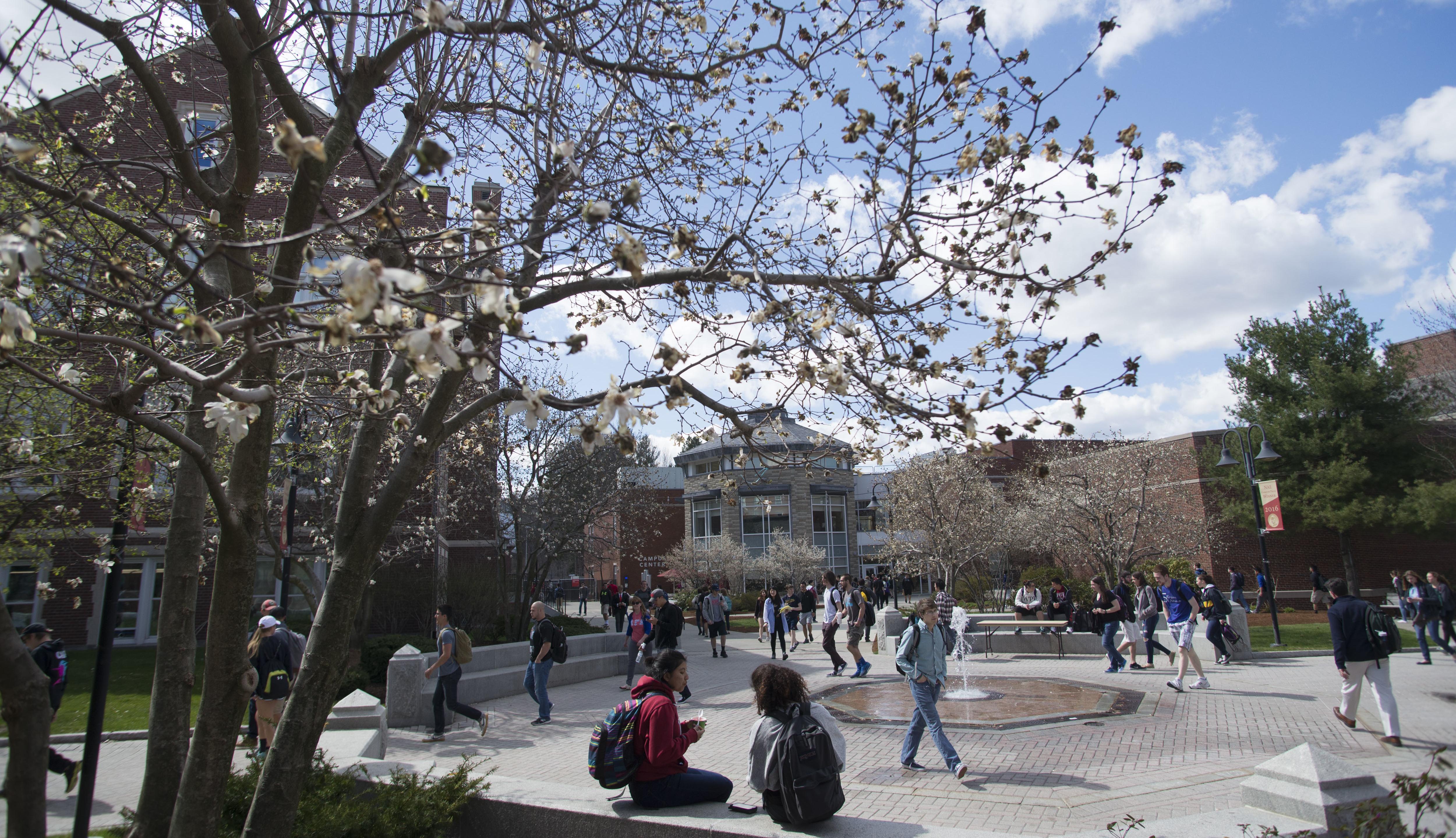 Undergraduate Admissions | WPI