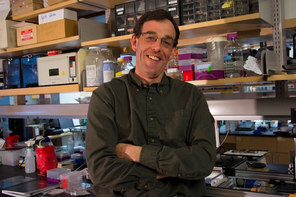 WPI Researcher George Pins Is Elected to American Institute for Medical ...