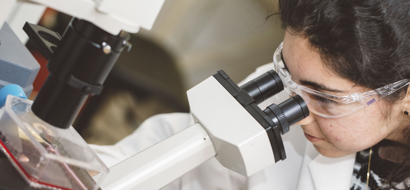 Biomedical Engineering | Academics | WPI