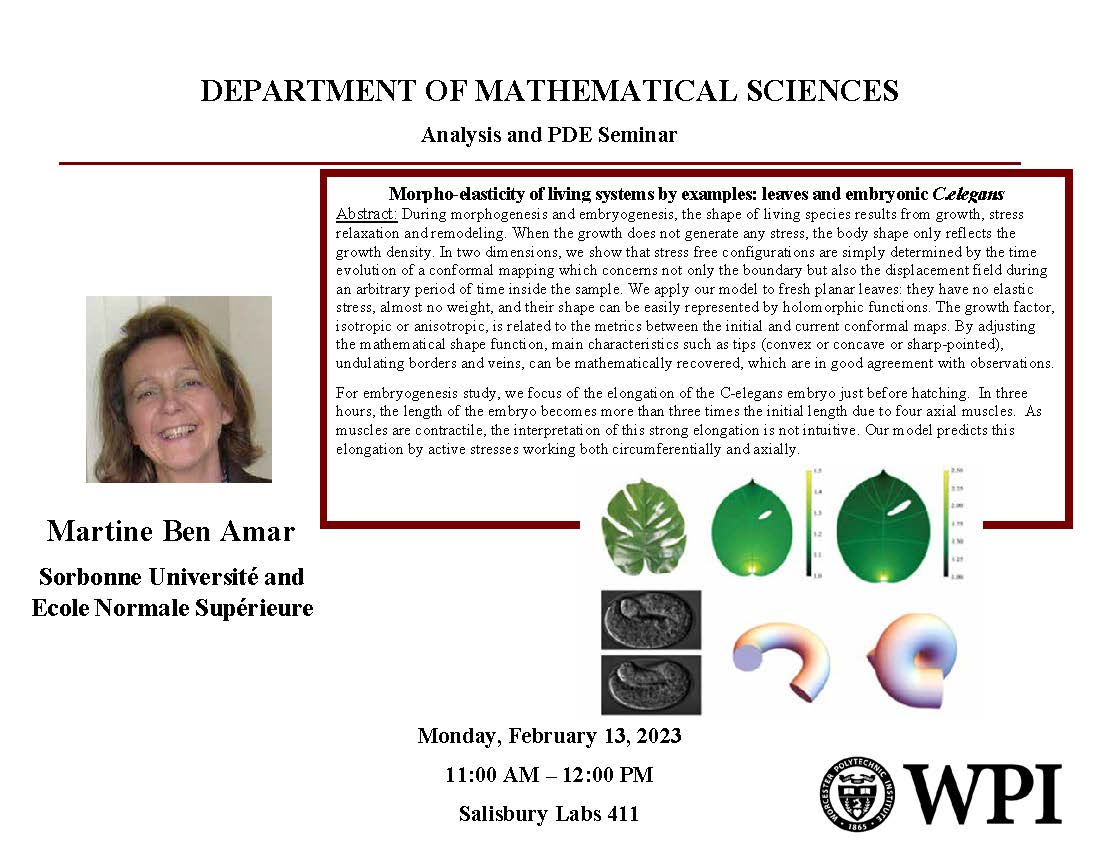 Mathematical Sciences Department, Analysis/PDE Seminar - Martine Ben ...