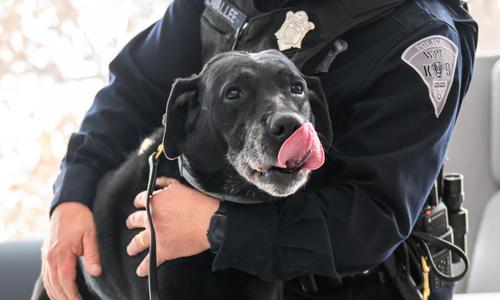 Beloved Four-Legged Member of Campus Police Department to Retire