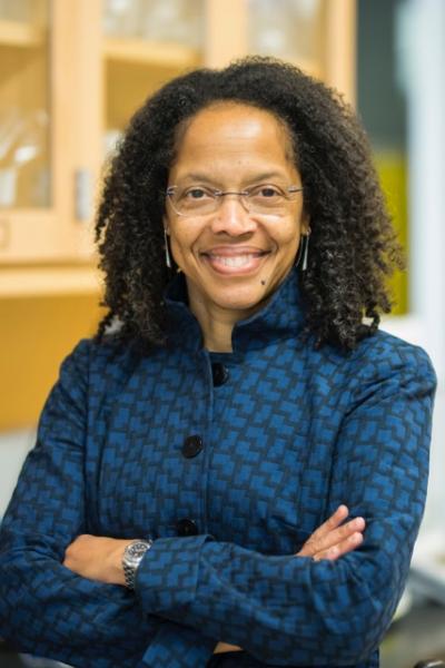 Biomedical Engineering | Academics | WPI